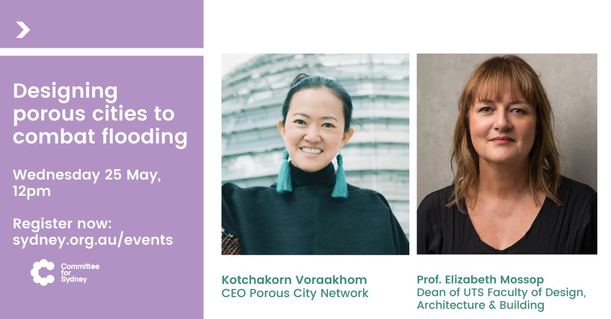 Designing porous cities to combat flooding - CFS